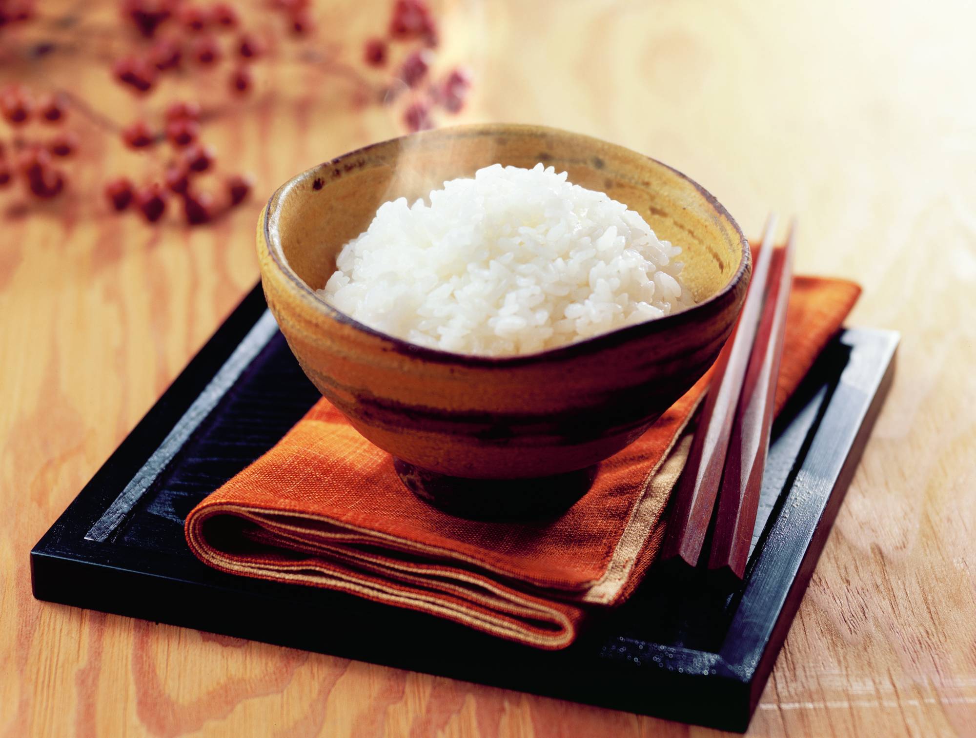 ZOJIRUSHI 1L/1.8L MICOM RICE COOKER & WARMER - NL-GAQ10/18